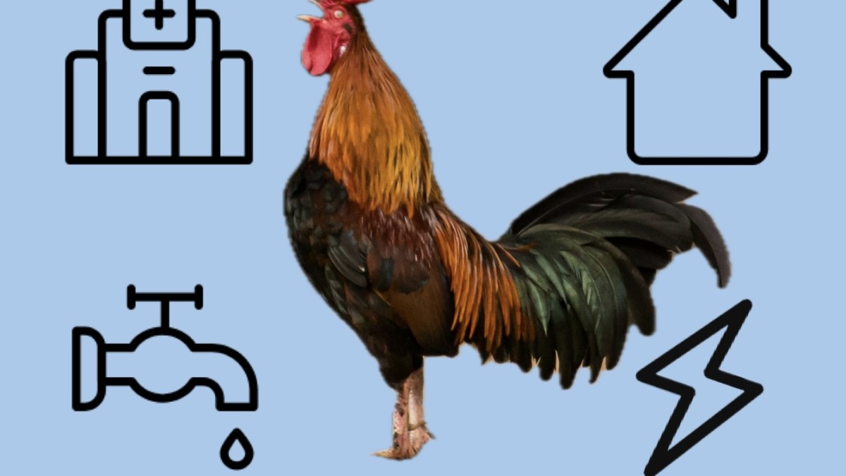 Vijf jaar vroegsignaleren: wat hebben we bereikt en waar willen we ...
